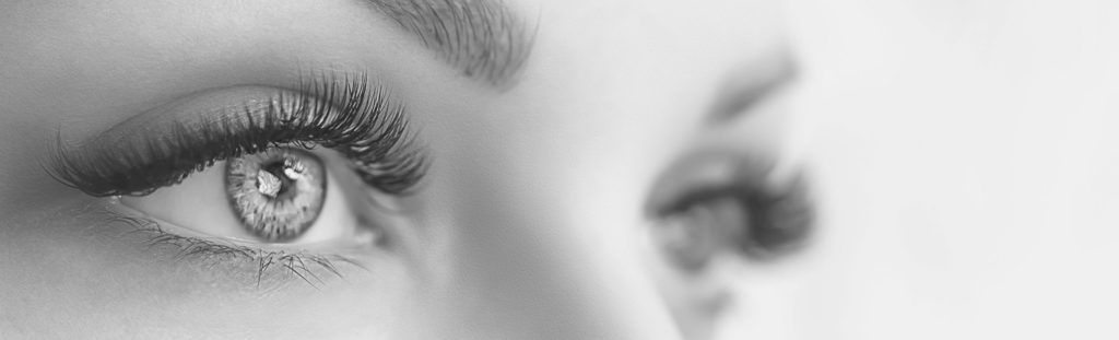 Eye Tracking - VisualCamp